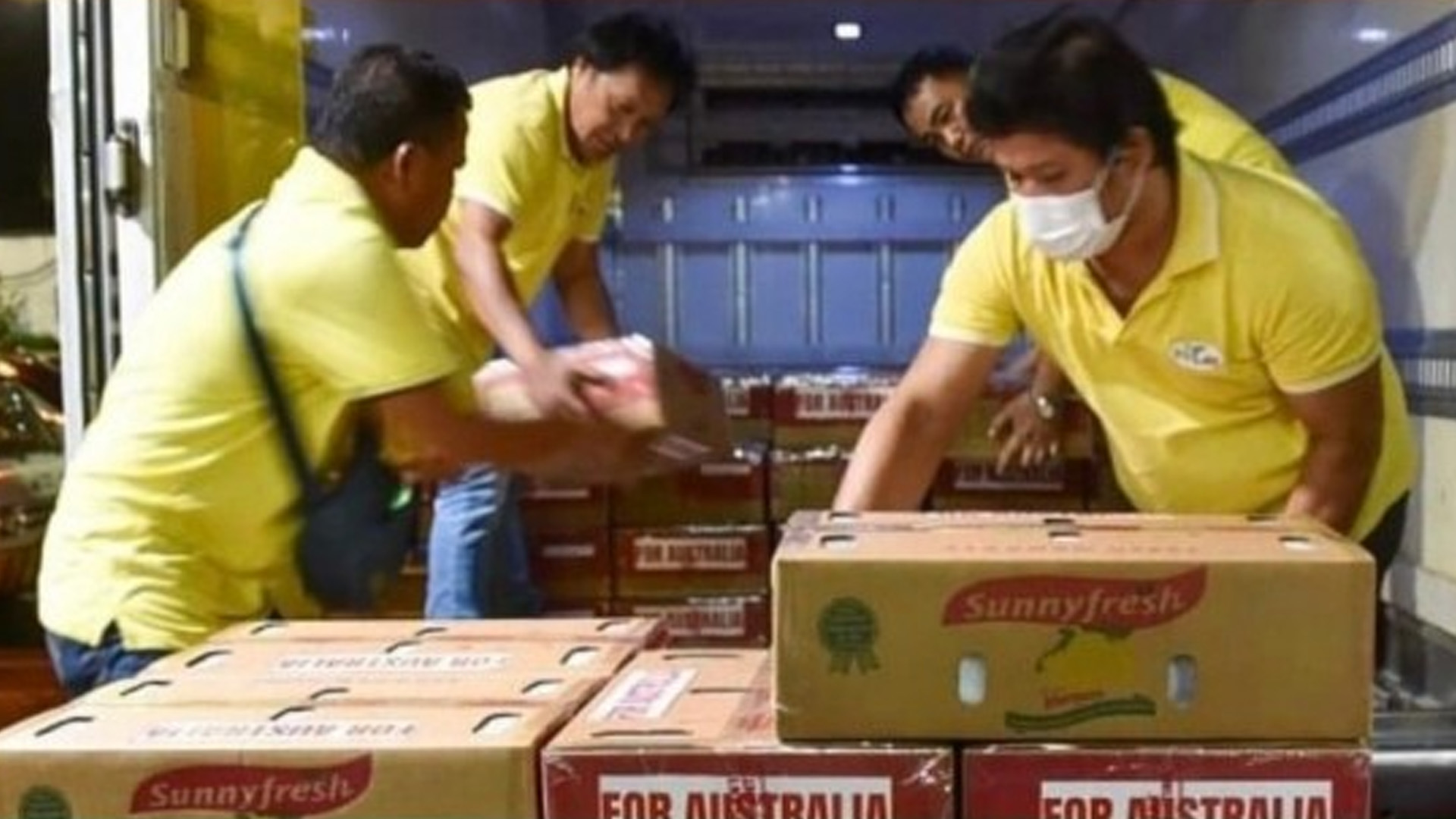 PH Revives Fresh Mango Exports To Australia | The Luzon Daily